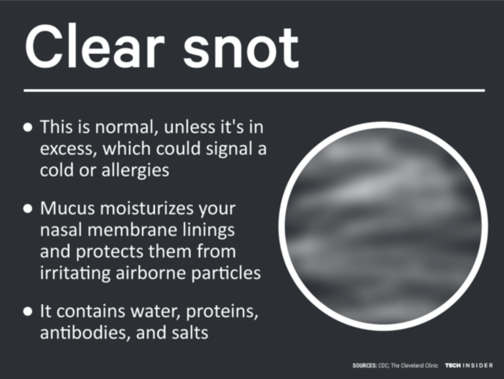 Why You Should Be Paying Attention To Your Snot - ATTN: