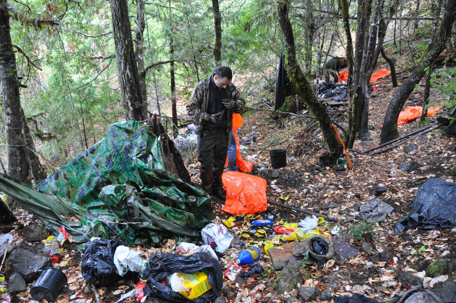 The Toxic Pot Problem in California - ATTN: